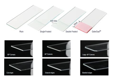 Apsnesswell Frosted Microscope Slides Histology Frosted Glass Slides