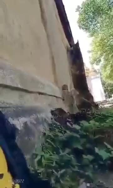 Bokep Indo Ngewe Istri Tetangga Montok Semok