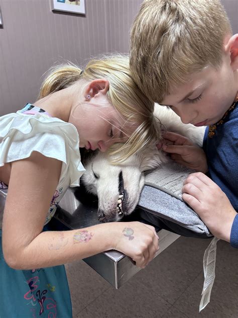 Usman Khan On Linkedin Empathy Mobileappdevelopment Flutter