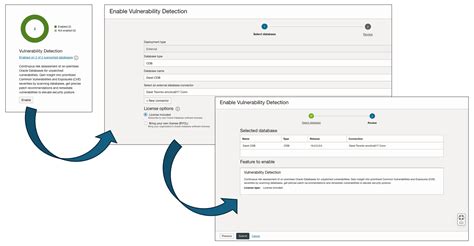 Enable Vulnerability Detection And Patching