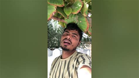 চাটা চাটি Youtube