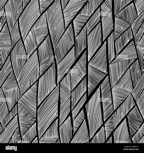 Seamless Pattern Black And White Abstract Lines Vector Texture
