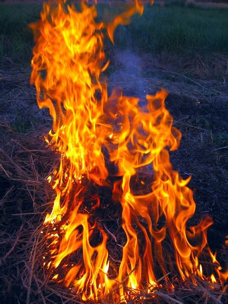 Premium Photo Fire In The Field