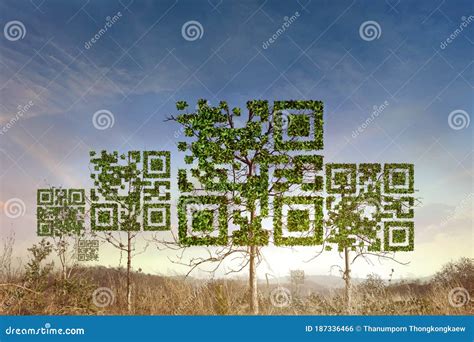 QR Code Tree With A Symbol In The Dry Forest Background Technology Business And Nature Concept