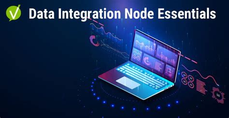 Master Data Integration Node Essentials For Business Growth Vivantio