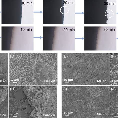 A Corrosion Curves Of The Zn And Sn‐zn Anodes B Lsv Curves Of Bare