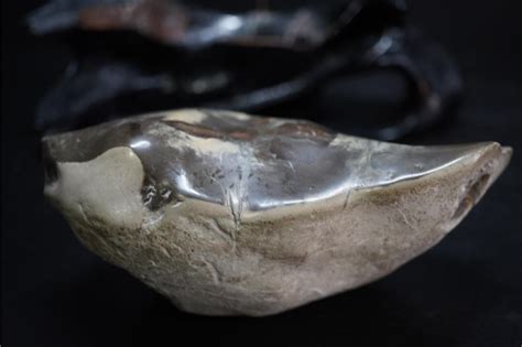 Yahooオークション D5968 3 天然石 水石 紋様石 化石 4点 鑑賞石 水