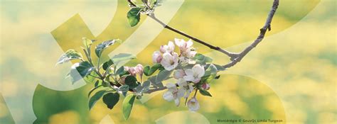 The Counter Puncher An Argument In The Corridors Of The Opera Altercation Dans Les Couloirs