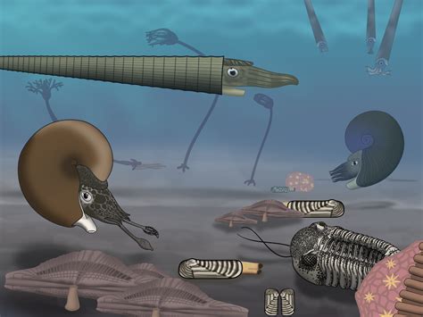 A Reconstruction Of The Mahantango Formation Paleo Re Creations The Fossil Forum