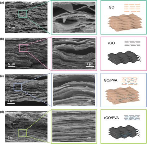 Cross‐sectional Microscopic Characterization Of Different Films Download Scientific Diagram