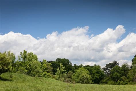 Treeline And Green Meadow Topped With White Clouds And Blue Sky Creative Copy Space Stock Photo
