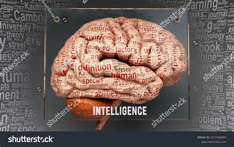 Intelligence Human Brain Dozens Important Terms Stock Illustration 2177360687 Shutterstock