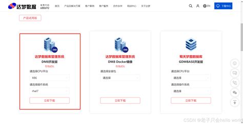 linux二进制安装达梦数据库！ 达梦二进制数据库安装 csdn博客