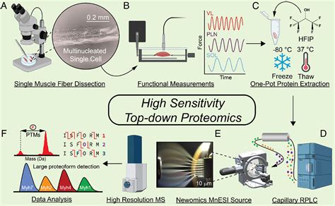 Single Cell Proteomics With Spatial Attributes Tools And OFF