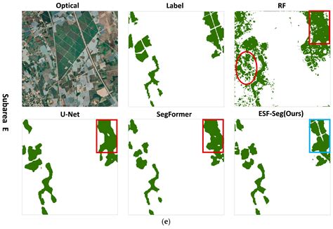 Tropical Rice Mapping Using Time Series Sar Images And Esf Seg Model In Hainan China From 2019
