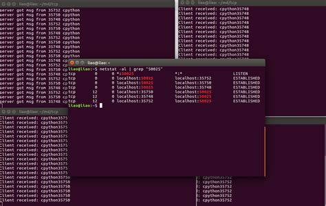 Python网络编程tcp Python学习园