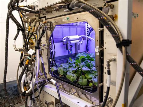 Space Agriculture Agriculture Monthly