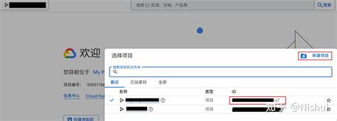 如何安装配置使用 Gemini Cli 知乎