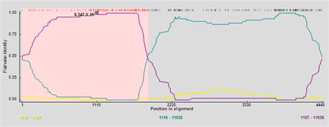 Rdp Screenshots Displaying The Possible Recombination Events On The
