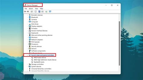 C Ch S A Loa Vi T Nh N Gi N T I Nh V I Nh Ng L I C B N