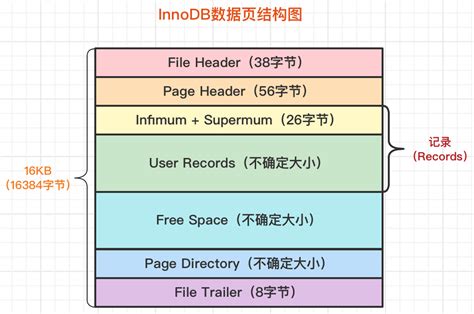 Mysql之数据页结构 墨天轮