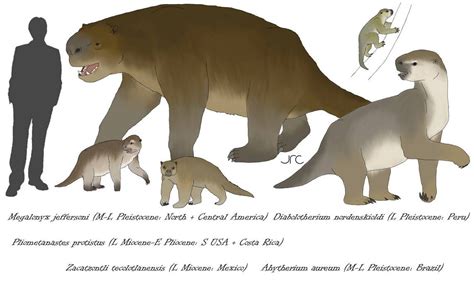Ground Sloths 2 Megalonychids By Artbyjrc On Deviantart Ground