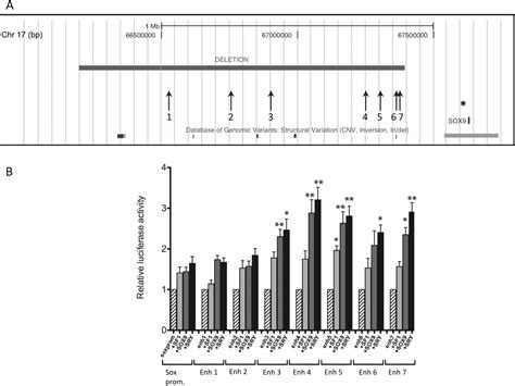 XY Disorders Of Sex Development Semantic Scholar