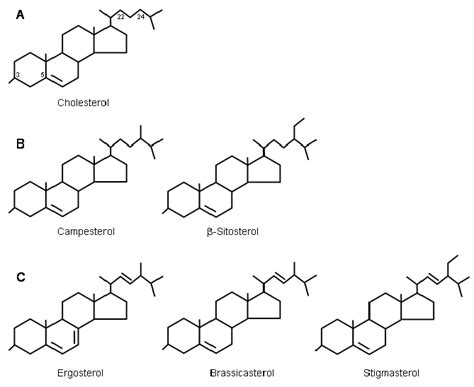 Ldl Chemical Structure