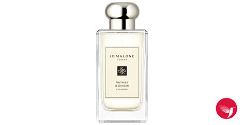 Nutmeg & Ginger Jo Malone London Parfum - ein es Parfum für Frauen und ...