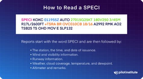 What Is a SPECI and When Is It Issued? - Pilot Institute