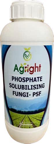 Psf Phosphate Solubilizing Fungi At ₹ 150 Litre Psb Biofertilizer In Valsad Id 2850512863833