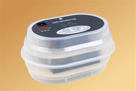 5 Best Egg Incubator Products For Raising Chicken Eggs