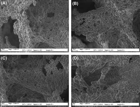 Sem Photos Of Hpmip A B And Nip C D Columns [115] Download