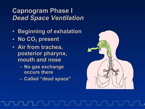 15 Capnography Part2 Introduction Ppt
