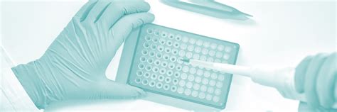 Whole Plasmid Sequencing Baseclear B V