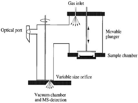 5 Effusion Examples In Real Life Studiousguy