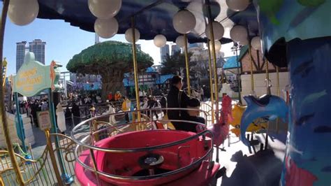 다루마daruma Darumaland • Instagram Photos And Videos