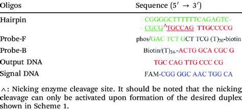 Sequences Used In This Work The Colours Of The Base Sequences Are Download Scientific Diagram