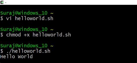 Hello World In Shell Script