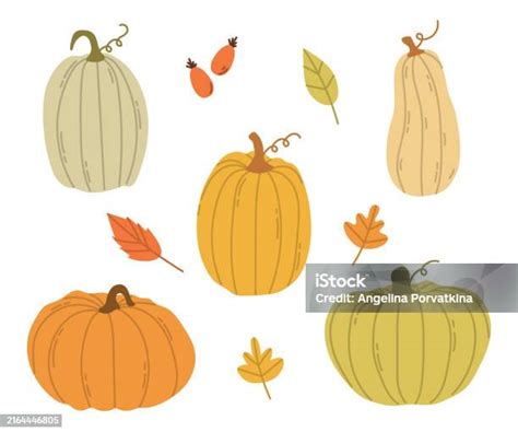 가을 호박 다양한 모양과 크기의 호박 계절 가을 수확 할로윈 오렌지 노란색과 녹색 야채 흰색 배경에 평면 벡터 일러스트 레이 션 0명에 대한 스톡 벡터 아트 및 기타 이미지