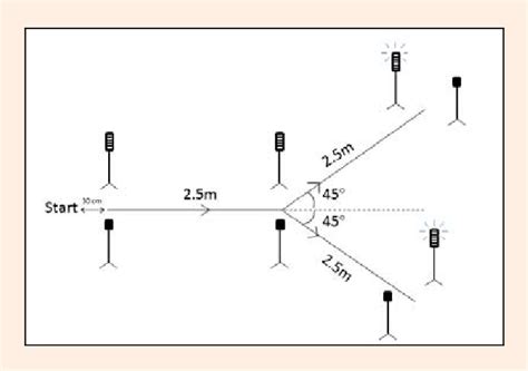 Reactive Agility Test Download Scientific Diagram