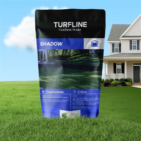 Газонна трава SHADOW DLF Turfline - ідеальний газон для затінених ділянок