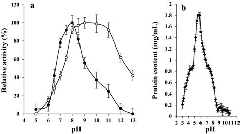 Impact Of Ph On Both The Proteolytic Activity And The Stability