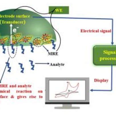 Simplified Diagram For ECS Elements Download Scientific Diagram