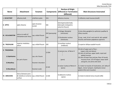 Pdf Nucleus Of Origin Nerve Attachment Foramen Components