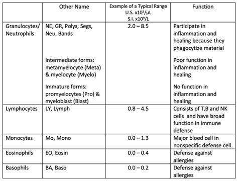 White Blood Cells And Differential For Those With Cll Sll Cll Society White Blood Cells And Differential For Those With Cll Sll Cll Society