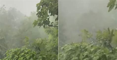 ВИДЕО Невреме во Неготино Поплавени неколку деловни објекти куќа и