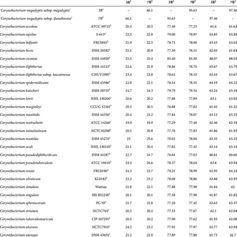 A Maximum Likelihood Tree From The Core Genome Alignment Of Related
