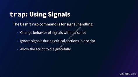 دانلود Linux Bash Shells And Scripts Streamlining Tasks And Enhancing Workfl