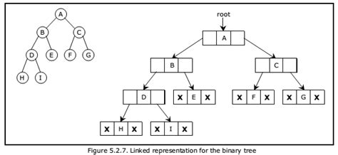 Binary Trees » ExamRadar